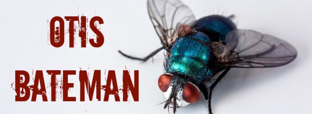 Author Interview: Otis Bateman – eblunsford.com